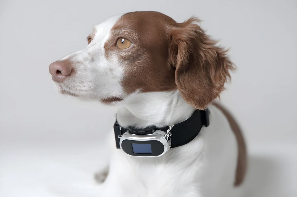 The Dog API : The Secret Weapon of Leading Pet Health Companies - The ...